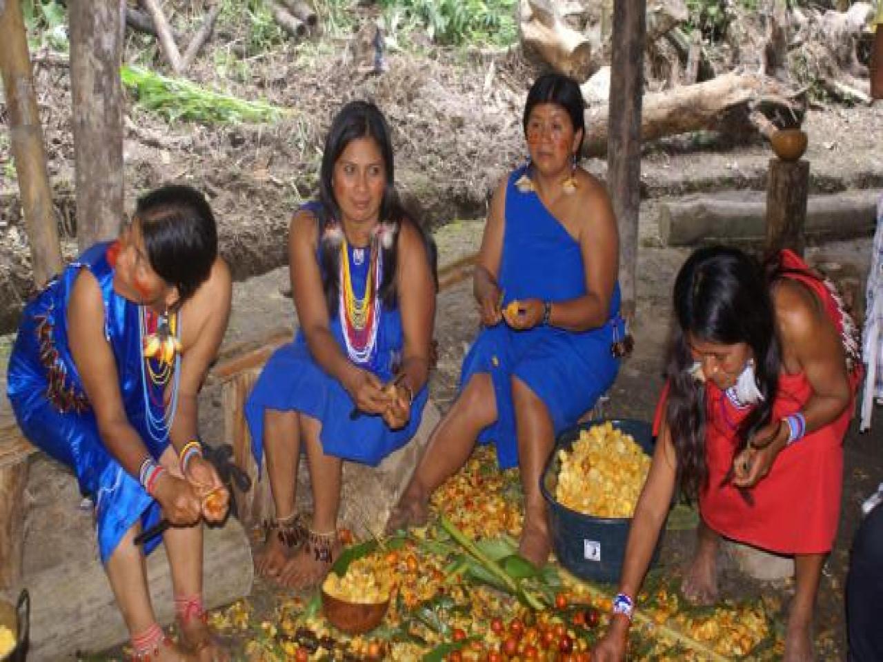 La chonta tendrá su celebración en Sucúa y Archidona | Juicio Crudo