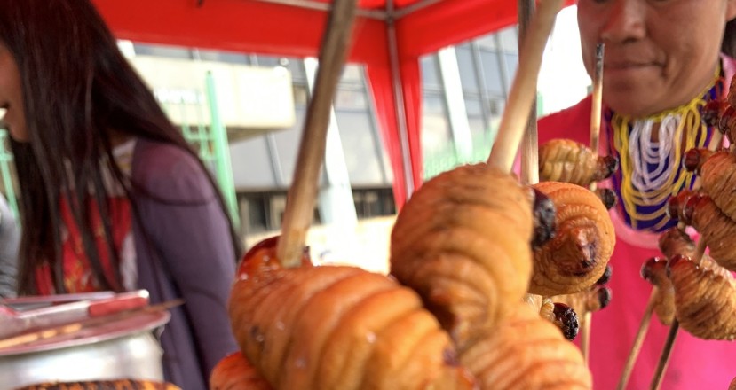 Chontacuro, el gusano de la Amazonía ecuatoriana | Juicio Crudo