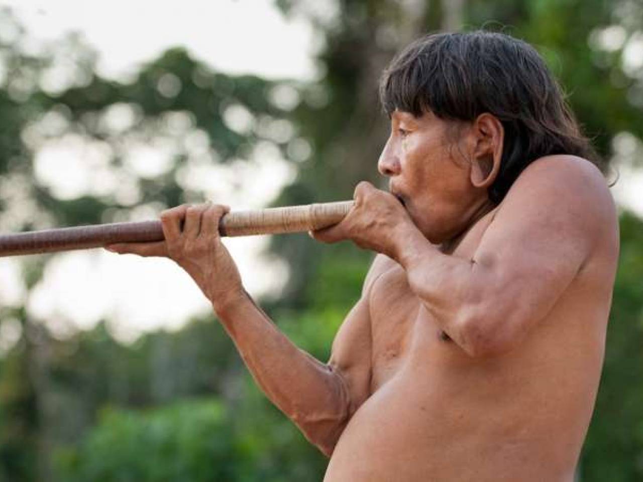 Ecuador propone a la Unesco salvaguardar la lengua zápara